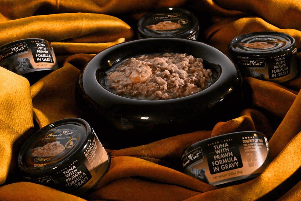 Fussie Cat Premium Black Label Tuna with Prawn Formula in Gravy Recipe ...