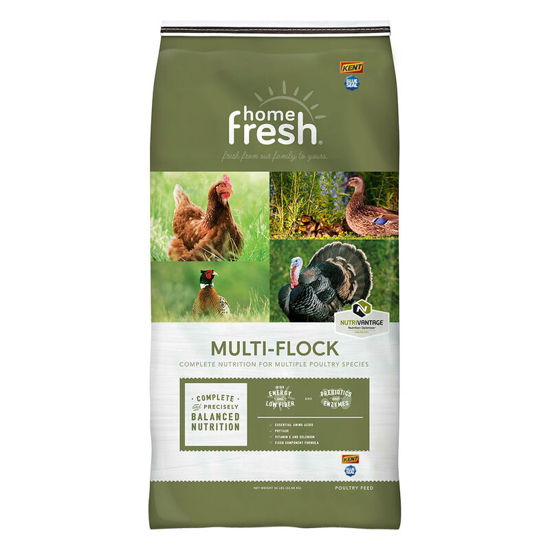 Blue Seal Home Fresh Multi-Flock Breeder Pellet — Mackey's