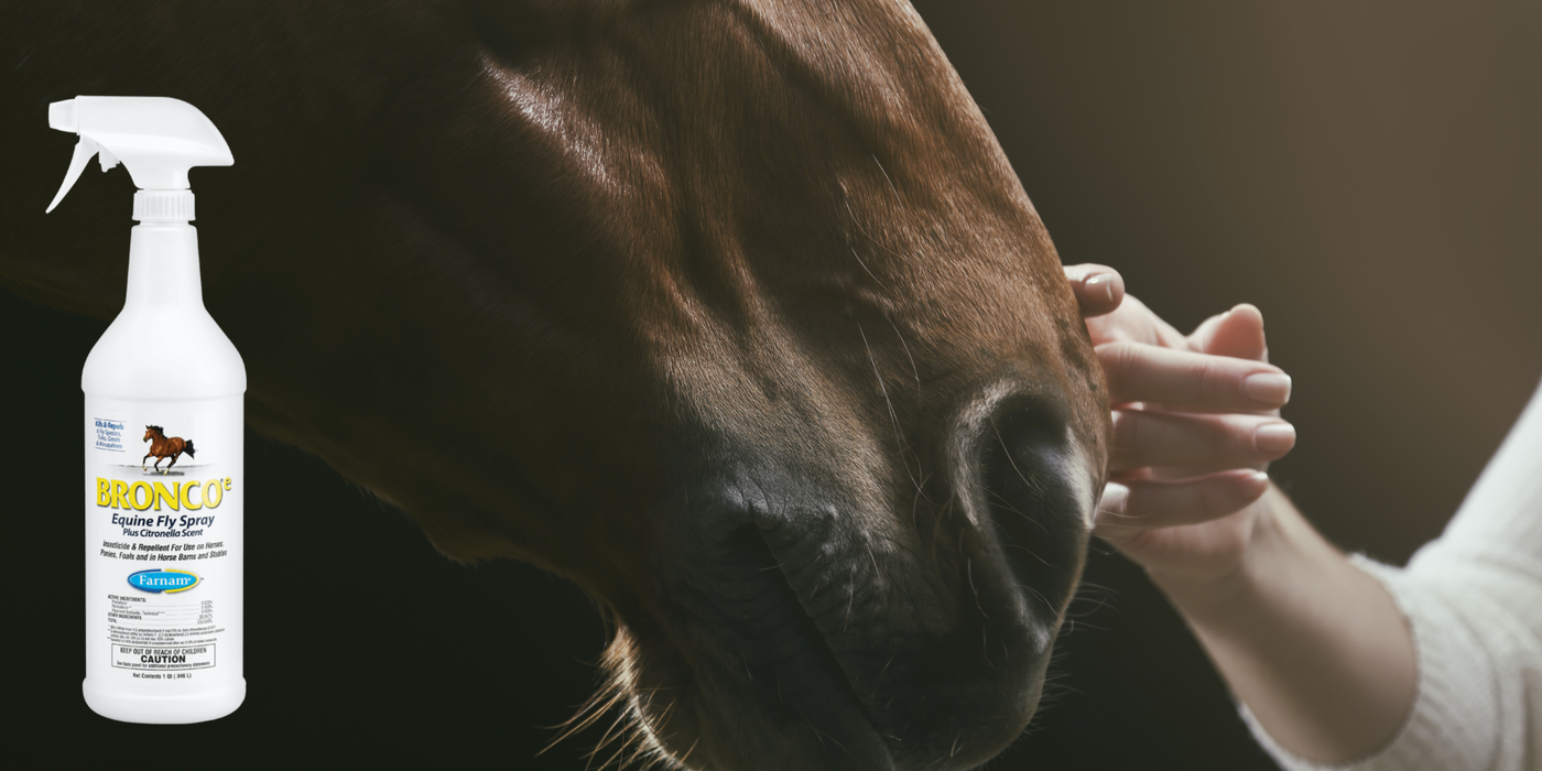 Triple Crown Balancer Gold Horse Feed — Mackey's