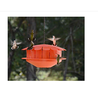 Humm-Bug Hummingbird Feeder — Mackey's
