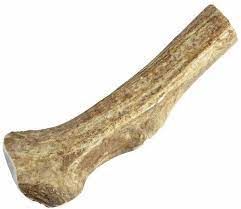 Happy Dog Sliced Elk Antler, Small — Mackey's