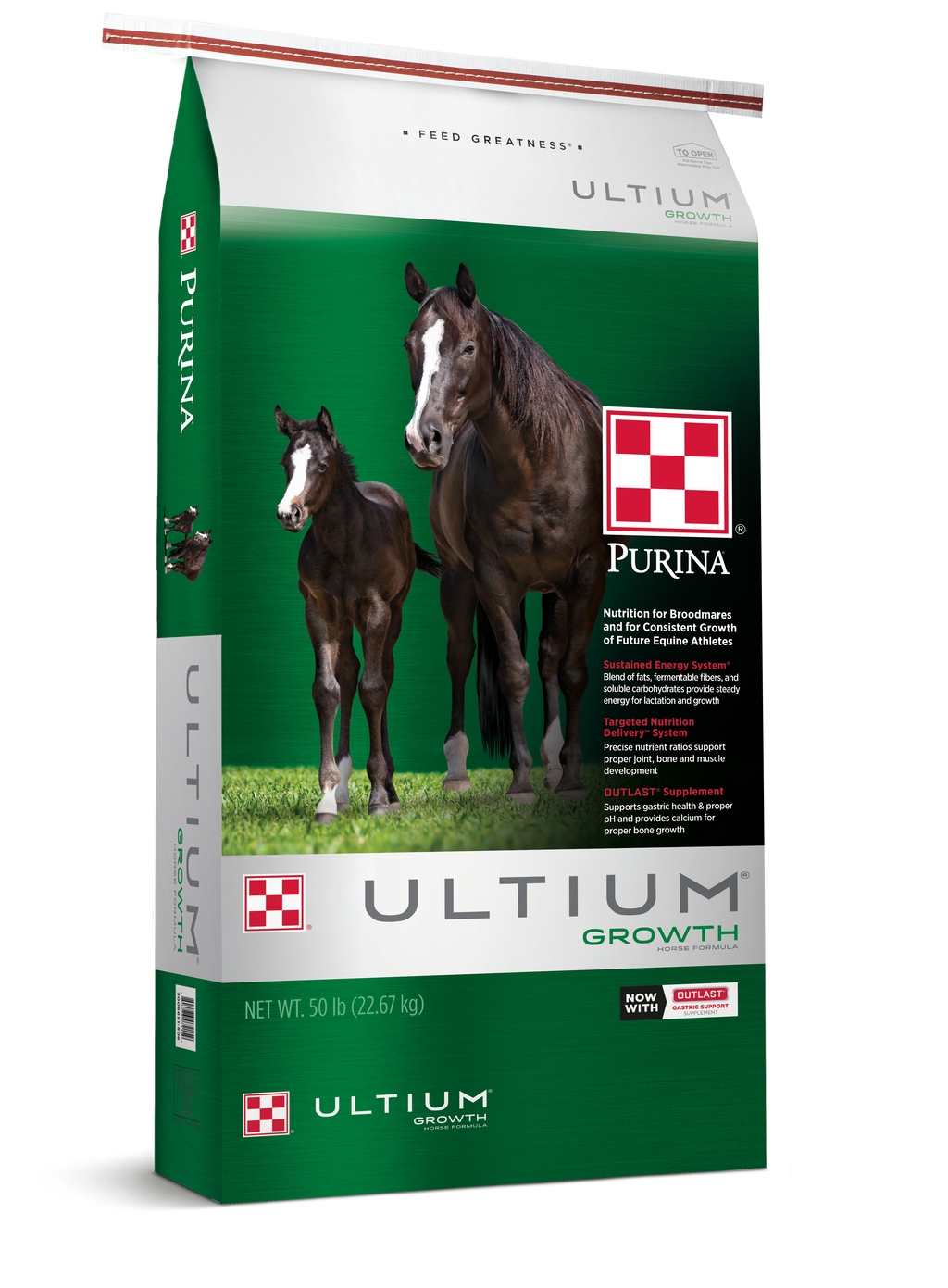 Horse Feed — Mackey's