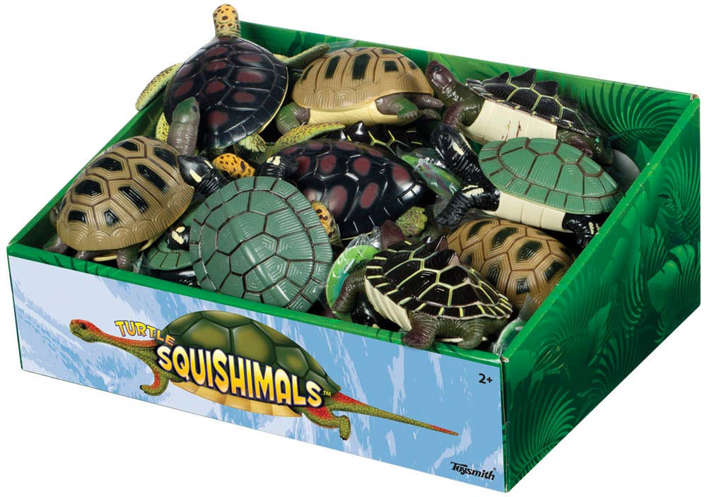 Turtle Squishamals — Mackey's