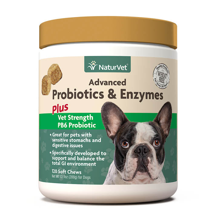 NaturVet Advanced Probiotics & Enzymes Soft Chews for Dogs — Mackey's