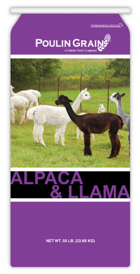 Poulin Grain Alpaca/Llama Maintenance Pellet, 50lbs — Mackey's