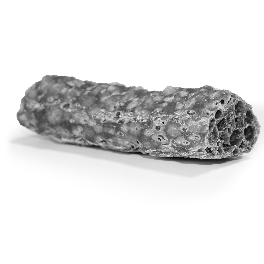 Himalayan Dog Chew Happy Teeth Cheese-Char, 4oz — Mackey's