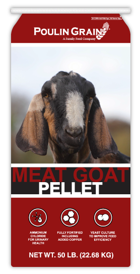 Poulin Grain Meat Goat Pellet — Mackey's