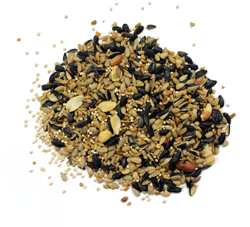 Better Bird Squirrel Away Bird Seed Mix, 5lbs — Mackey's