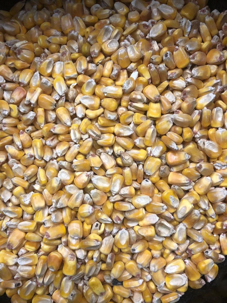 Whole Corn All Brands — Mackey's